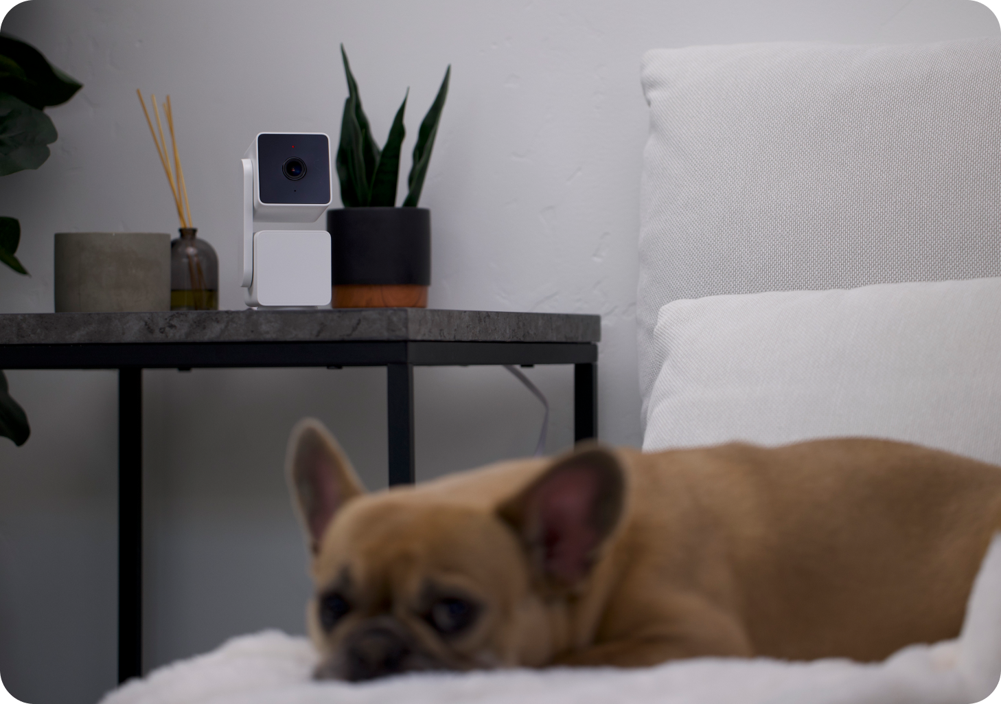 Wyze v3 Bundle | Get Wyze Pan v3, Cam v3, & MicroSD Cards