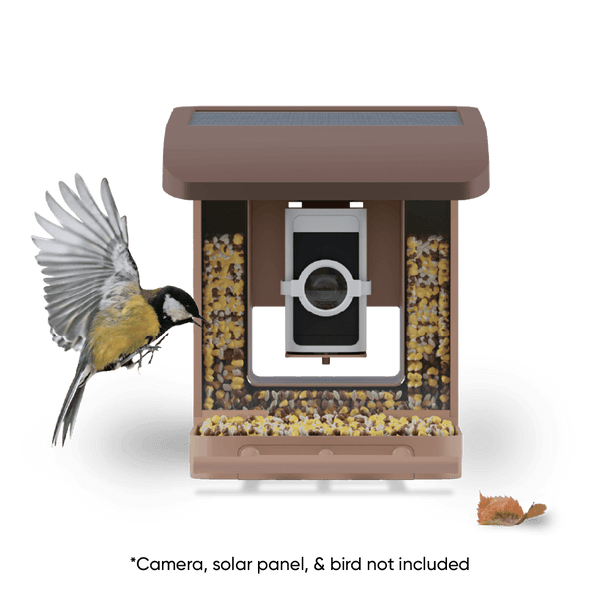 Wyze Bird Feeder – Smart Wildlife Camera